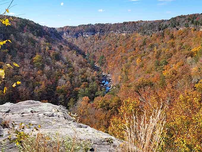 Fall foliage fills the canyon from rim to river, turning the whole gorge into a living color wheel.
