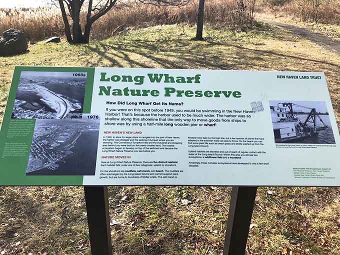 This informational sign explains how Long Wharf transformed from working harbor to the peaceful preserve it is today.