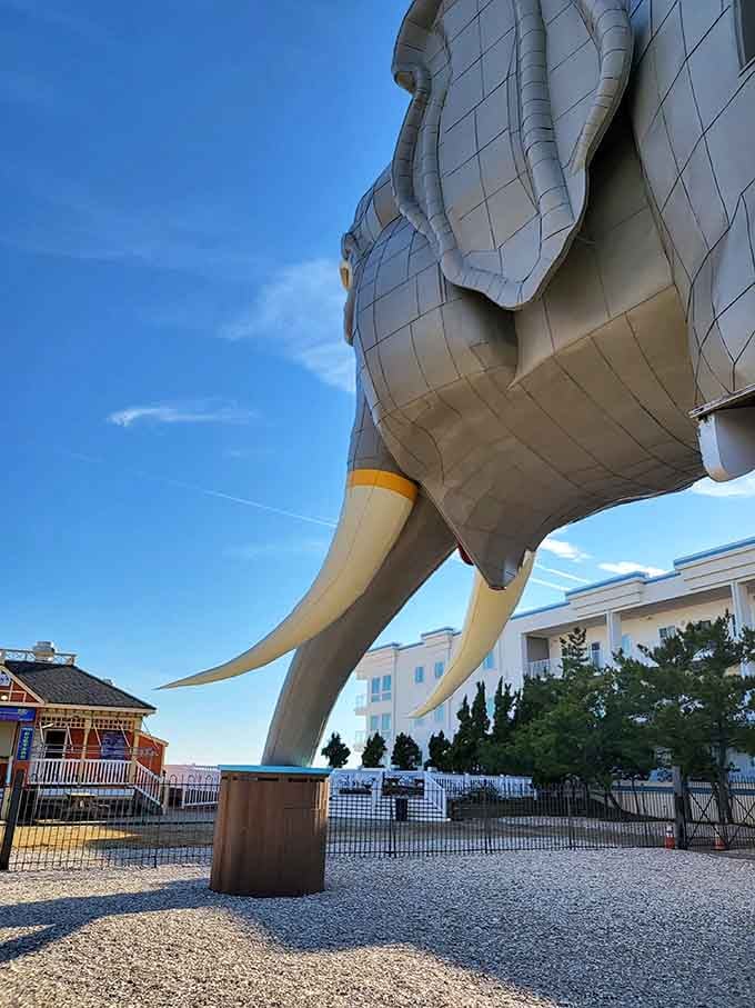 Lucy's majestic head and tusks reach skyward, a testament to Victorian-era ambition and one person's commitment to thinking big.