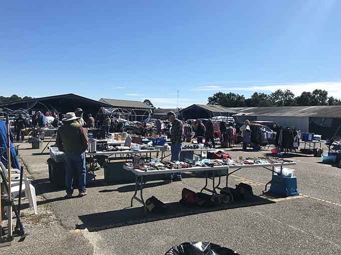 Mobile Flea Market spreads out under sunny skies, offering treasures and bargains that make weekend mornings worth waking up for.