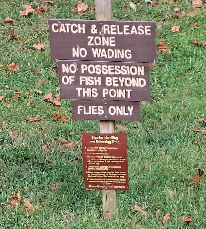 Rules exist for good reasons, mainly keeping this trout paradise thriving for generations of future frustrated anglers.
