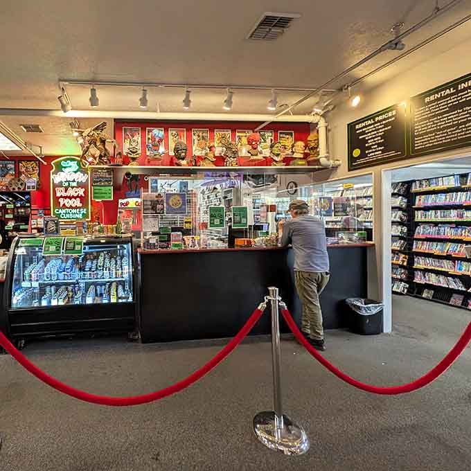 The service counter where knowledgeable staff can actually recommend films instead of just pointing at algorithms nearby.