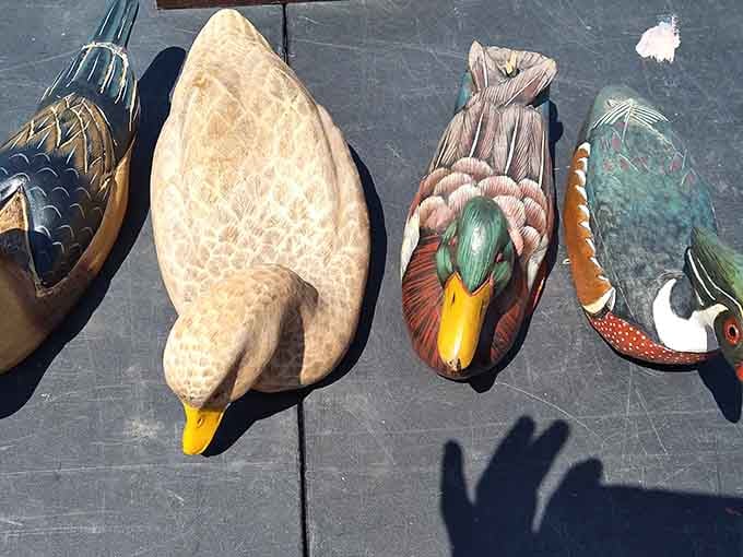 Hand-painted duck decoys lined up in the sunshine, each one detailed enough to make you do a genuine double take.
