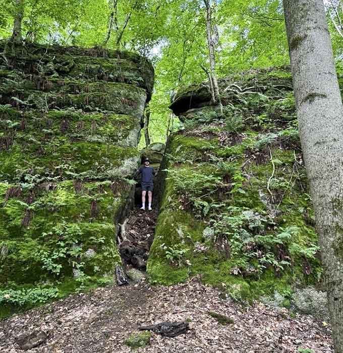One brave hiker squeezing through a mossy rock crevice, earning serious bragging rights for the drive home.