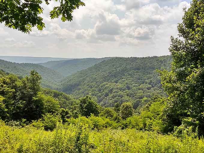 Mountain vistas stretch endlessly, proving that Maryland contains more dramatic landscapes than most people ever imagine.