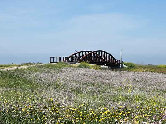 That bridge represents hundreds of hours of volunteer work, all so you can ride tiny trains.