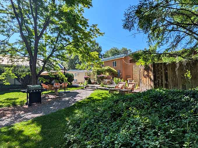 Tucked behind lush greenery, this shaded backyard retreat proves that Paonia understands the fine art of slowing completely down.