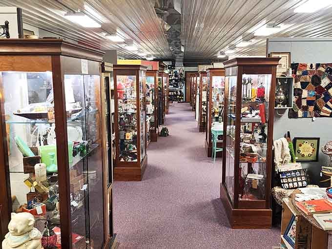 Row after row of illuminated glass cases. This is what treasure hunting looks like when it grows up.