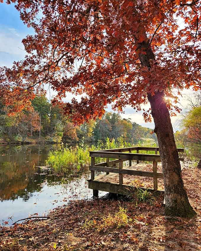 A small wooden deck overlooking the water, framed by blazing red leaves. Nature absolutely nailed the interior design here.