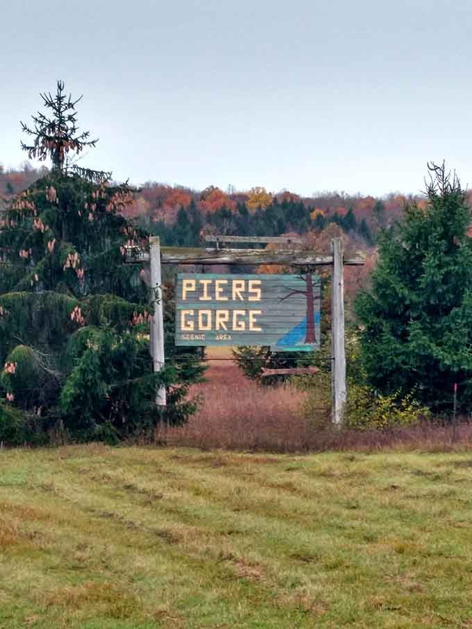 The hand-painted Piers Gorge Scenic Area sign standing in a field, modest and weathered, like a local who doesn't need to brag.