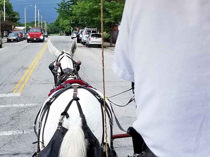 One white horse pulling a wagon down a tree-lined street. This is the kind of scene that makes you put your phone away and just look.
