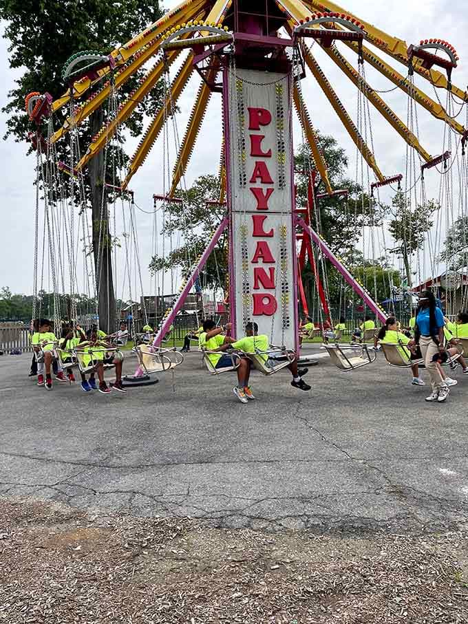 The swing ride lifts a whole crowd skyward at once, the Playland name spinning right along with every single smiling passenger.