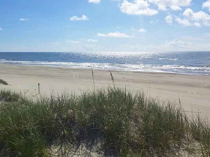 Sea oats, sparkling surf, and not one beach umbrella in sight. This is the Atlantic Ocean at its most honest.