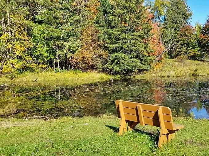 The Little-Known New York Nature Preserve That Locals Are Keeping All ...