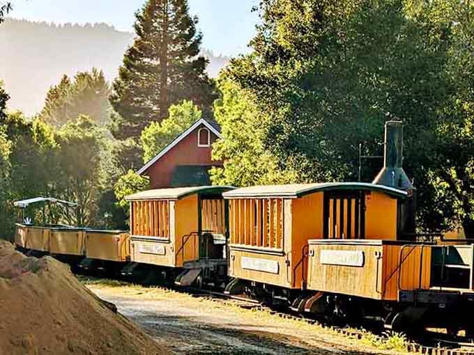 Warm golden light wrapping around vintage train cars at dusk. Roaring Camp has a way of making time feel wonderfully irrelevant.