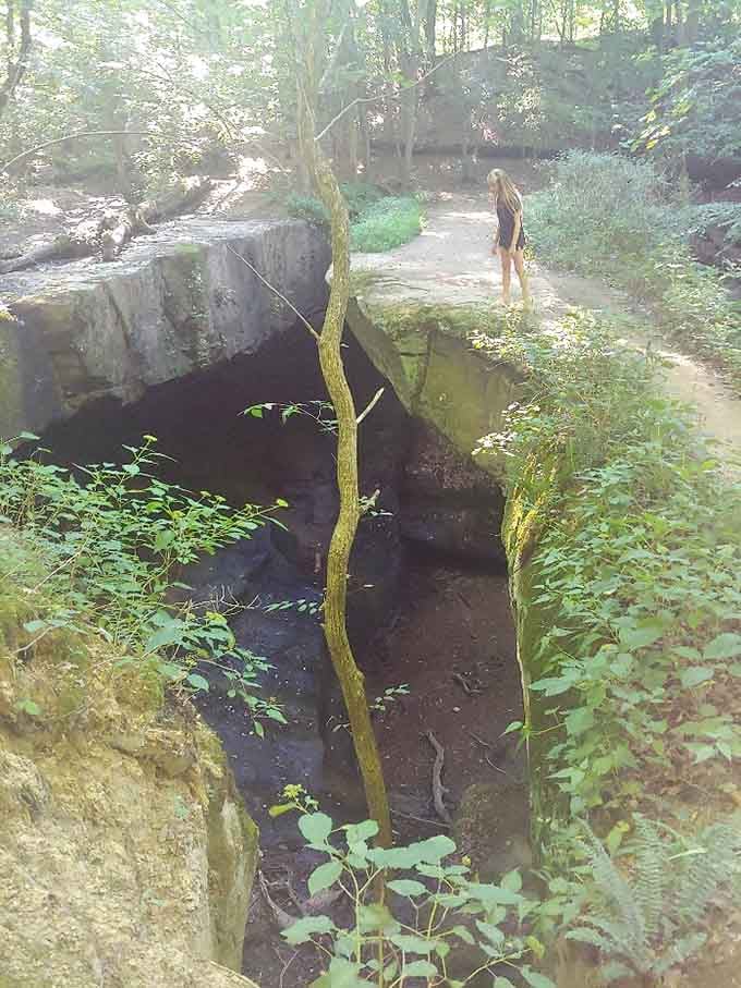 A visitor peers over the edge of the sandstone arch while a slender moss-covered tree reaches upward between the rocks below.