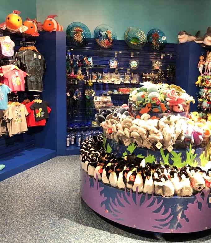 The gift shop ensures your favorite sea creature can come home with you, in adorable plush form.