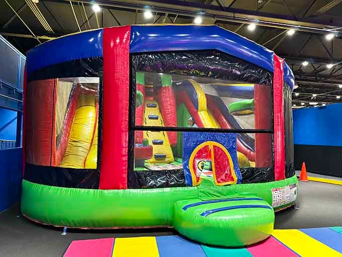 Bold, bouncy, and bursting with color, the Leaping Leopard Activity Bouncer is basically a kid's version of pure happiness.