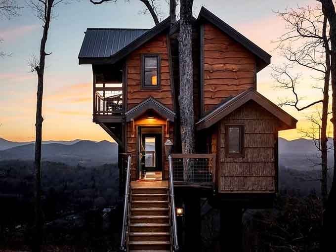 At sunset, this treehouse doesn't just glow, it absolutely shows off for the whole mountain range.