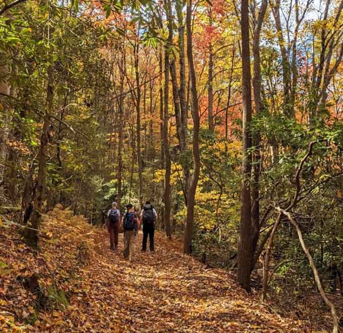 Fall foliage so vivid along the Ewing Trail that even the most reluctant hiker stops complaining about their feet.