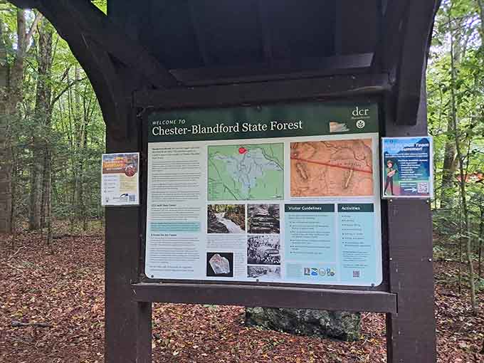 The Chester-Blandford State Forest welcome board. Your official invitation to one of Massachusetts' finest natural treasures.