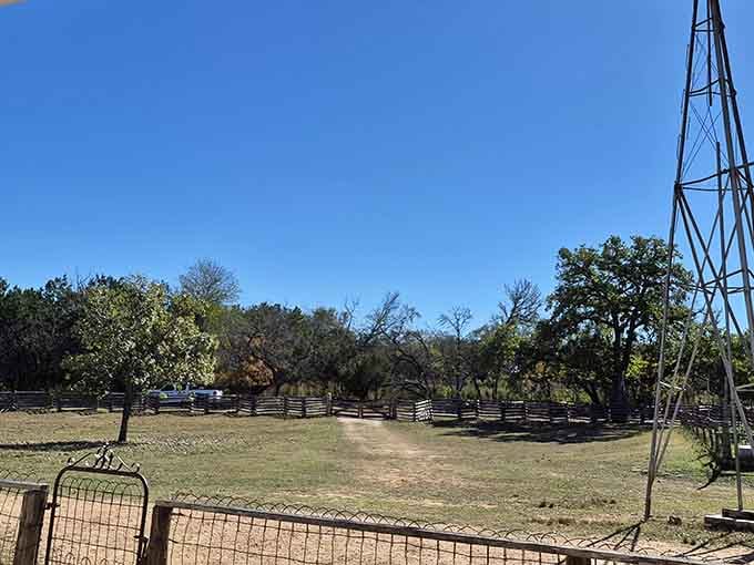 Fences, open sky, and a windmill tower, the Hill Country doesn't need a filter to look this good.