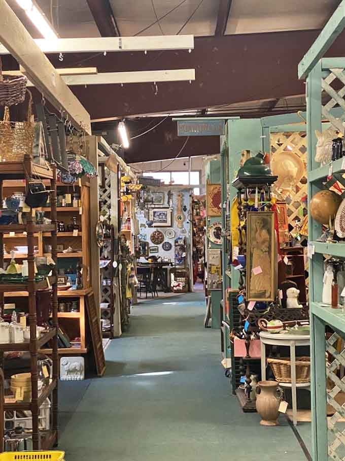 Long aisles stretching into the distance, loaded with surprises, like a really good novel you can't put down.