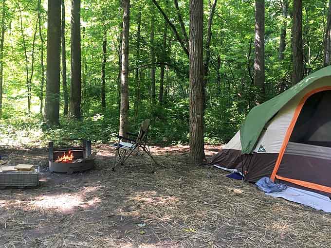 A tent, a fire, and tall trees overhead, the original version of a perfect evening with no Wi-Fi required.