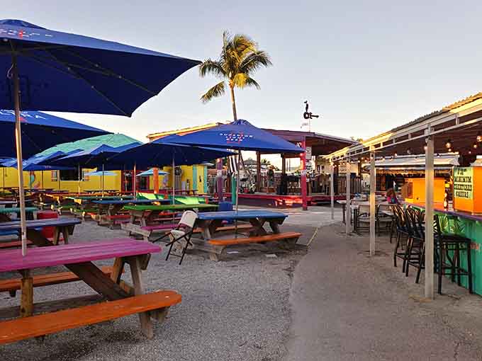 Painted picnic tables, big blue umbrellas, a palm tree overhead, and a cold drink in your hand. That's the whole plan right there.