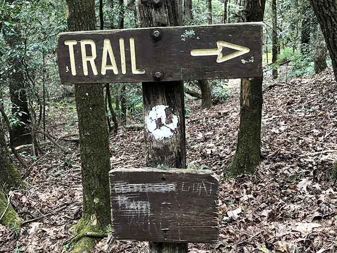 A weathered wooden sign pointing the way, simple and honest, like the best directions always are.