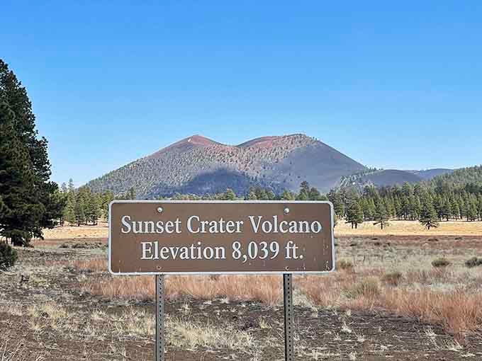 Eight thousand and thirty-nine feet of pure volcanic personality, right there on a sign for everyone to appreciate.