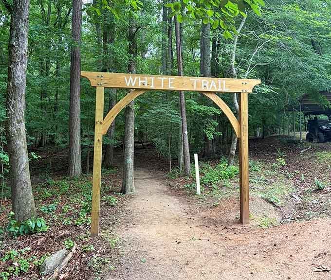 The White Trail is a gentler path through the same magical forest, perfect for those who prefer their adventures mild.