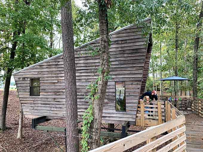 From this angle, the T-Town Treehouse looks like it grew right out of the Alabama forest floor.