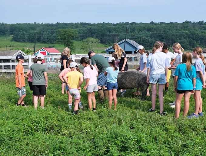 Kids crowding around a large pig in the field, wide-eyed and completely hooked. Future animal lovers, every single one.