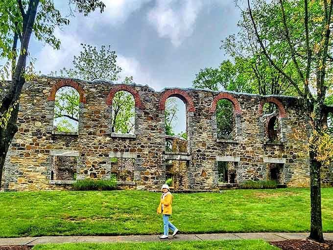 Even a casual stroll past these walls turns into an unexpected encounter with something genuinely magnificent.
