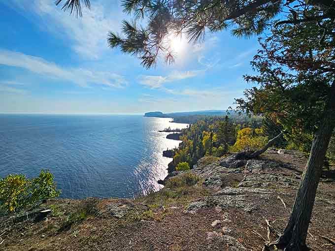 Sunlight pours through pine branches onto a sweeping Lake Superior overlook, the kind of view that makes your jaw do the work.