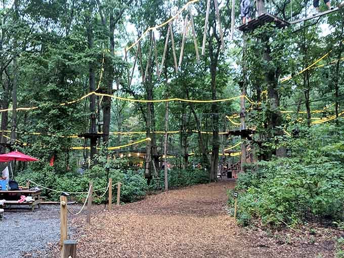 Yellow ropes marking the trail ahead. Follow them, trust the process, and enjoy every single step.