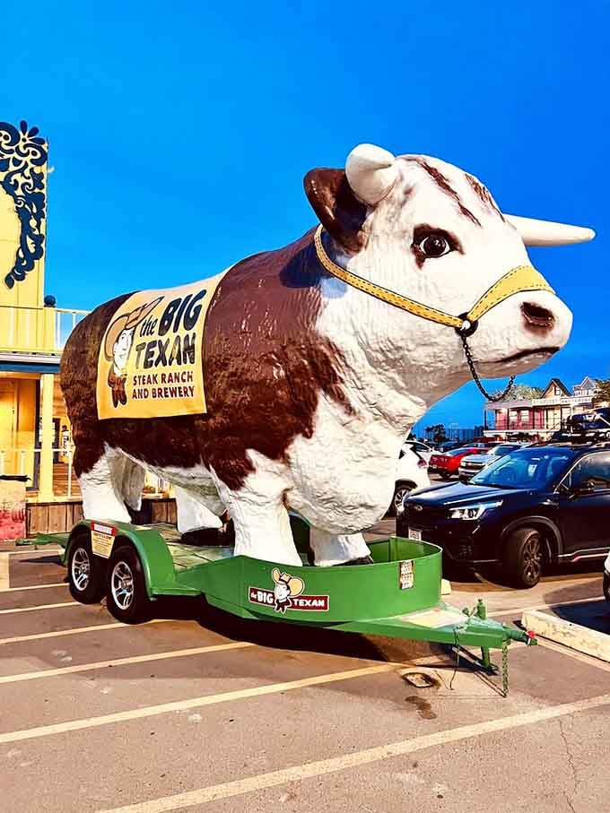 A giant fiberglass bull on a trailer outside. Yep, you're definitely in the right place.