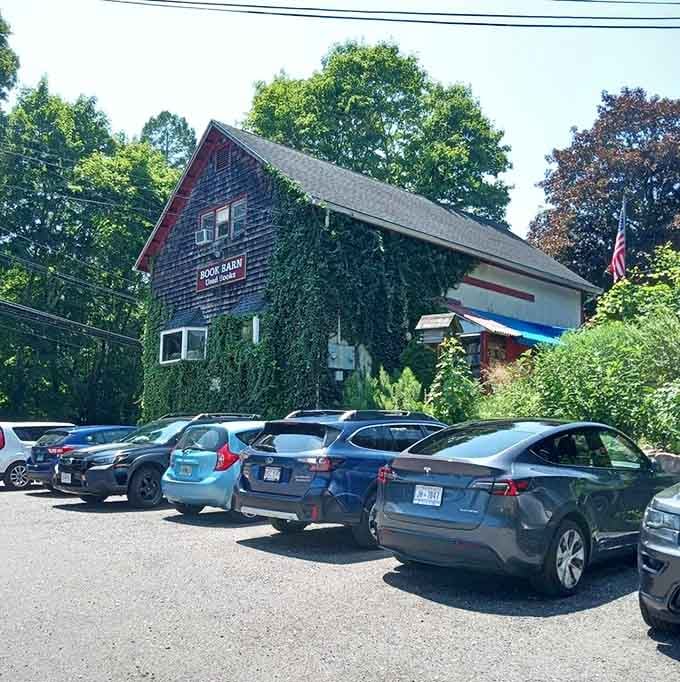 A packed parking lot on a sunny day tells you everything you need to know.