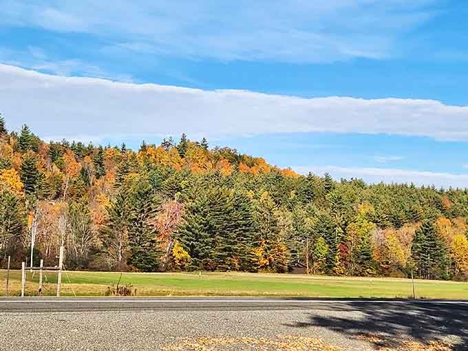 Marcy Field opens up to a wall of fall color that makes you forget what you were worried about.