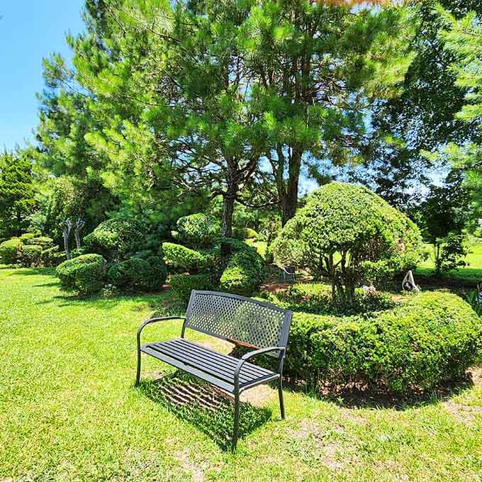 A simple garden bench sits front and center before a collection of sculpted shrubs, practically begging you to sit and stay awhile.