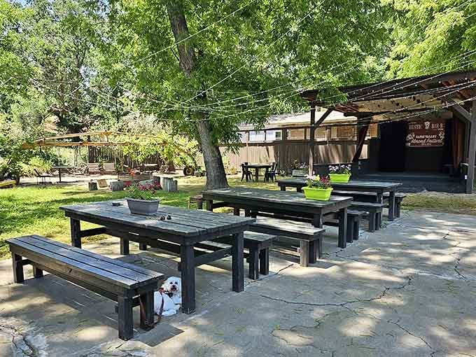 Shaded picnic tables scattered across the lawn, the perfect spot for enjoying barbecue the way nature intended it.