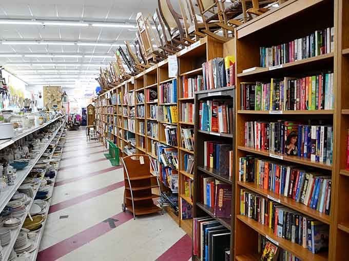 Floor-to-ceiling bookshelves packed with titles of every genre, with rocking chairs perched on top for good measure.