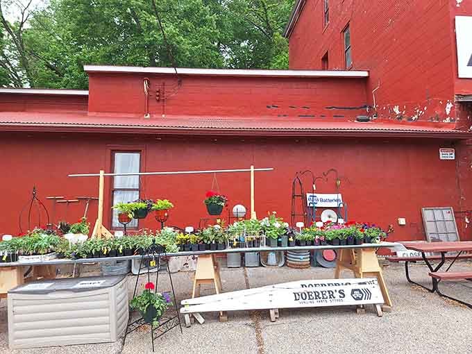 Fresh plants spilling out along the building's exterior wall, because even antique stores deserve a little living color.