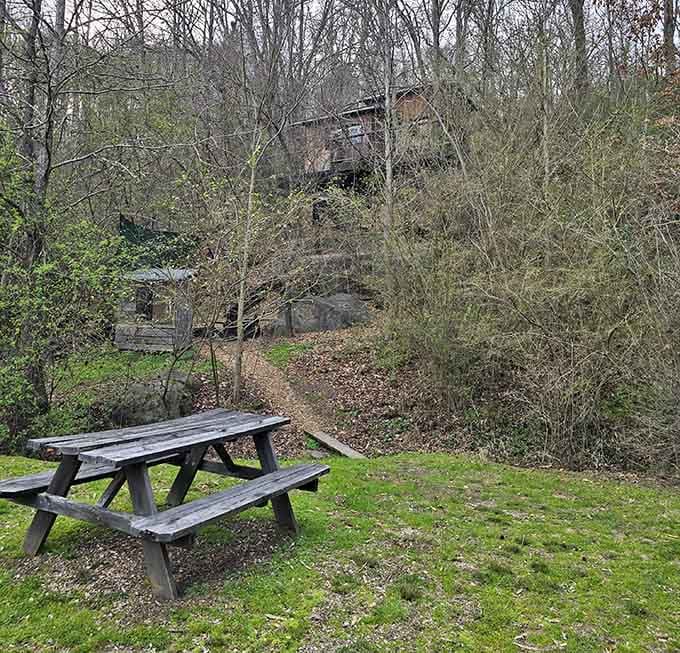 A weathered picnic table on green grass with the treehouse watching quietly from the hillside above, simplicity never looked so inviting.