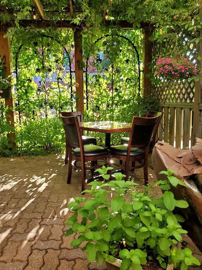 Outdoor seating surrounded by climbing vines and dappled sunlight transforms a simple meal into a garden party experience.
