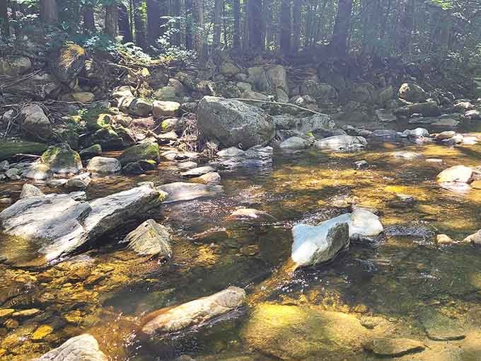 Crystal-clear water over smooth river stones. Simple, beautiful, and completely free of charge.