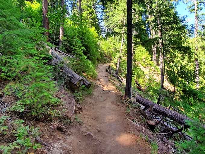 A short, sun-dappled trail through Douglas fir forest stands between you and pure bliss.