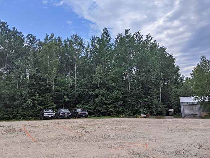 A gravel parking lot surrounded by towering northwoods trees, the calm before an absolutely unforgettable wildlife experience.