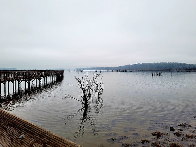 On a grey and moody day, the refuge takes on a quiet, cinematic quality that no Hollywood set designer could replicate.